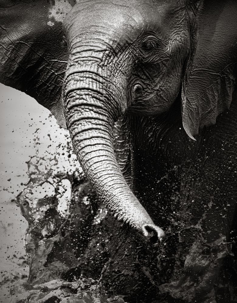 Optimizing Performance with PostgreSQL Composite Index | MinervaDB Optimizing Performance with PostgreSQL Composite Index | MinervaDB