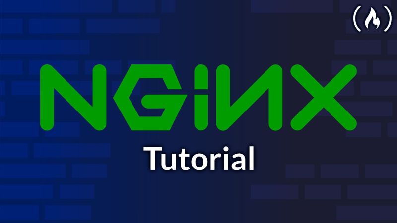 How to install NGINX for backend developers | freeCodeCamp posted on ... How to install NGINX for backend developers | freeCodeCamp posted on ...