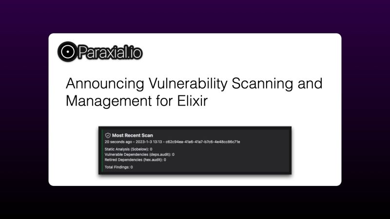 Learn-Elixir.dev on LinkedIn: Announcing Vulnerability Scanning and ... Learn-Elixir.dev on LinkedIn: Announcing Vulnerability Scanning and ...