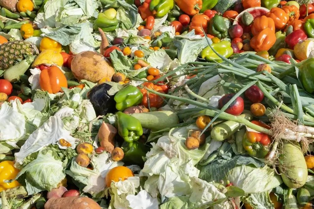 Modern Farmer on LinkedIn: On the Ground With Apps Preventing Food ... Modern Farmer on LinkedIn: On the Ground With Apps Preventing Food ...
