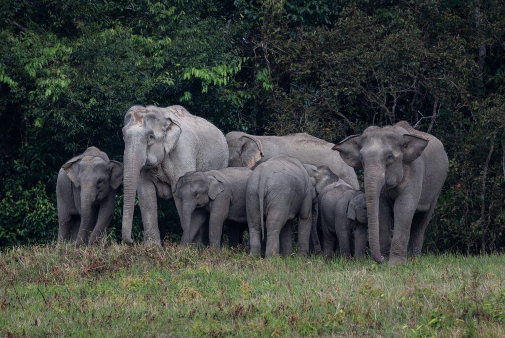 Shiv Iyer on LinkedIn: Monitoring BgWriter Latches in PostgreSQL ... Shiv Iyer on LinkedIn: Monitoring BgWriter Latches in PostgreSQL ...