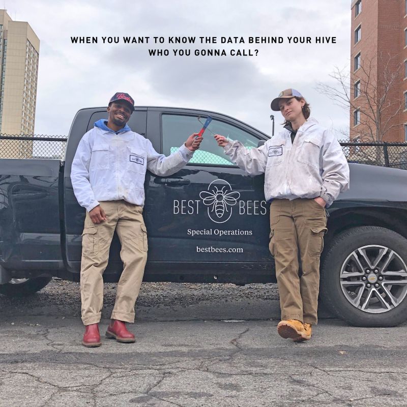 The Best Bees Company on LinkedIn: Introducing the Best Bees Company ... The Best Bees Company on LinkedIn: Introducing the Best Bees Company ...