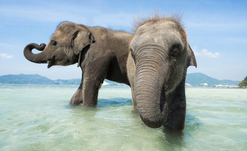 PostgreSQL Data Pages and Rows: A Deep Dive into Internal Storage and ... PostgreSQL Data Pages and Rows: A Deep Dive into Internal Storage and ...