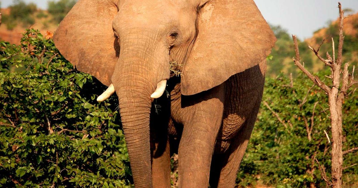 MinervaDB on LinkedIn: Optimizing PostgreSQL Query Performance MinervaDB on LinkedIn: Optimizing PostgreSQL Query Performance