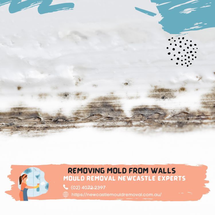 Mould Removal Newcastle Experts on LinkedIn: Mould Removal Newcastle ... Mould Removal Newcastle Experts on LinkedIn: Mould Removal Newcastle ...
