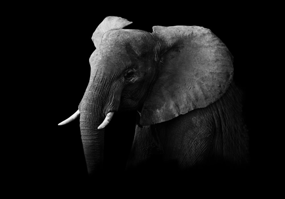 MinervaDB on LinkedIn: How do Bloom Indexes work in PostgreSQL ... MinervaDB on LinkedIn: How do Bloom Indexes work in PostgreSQL ...