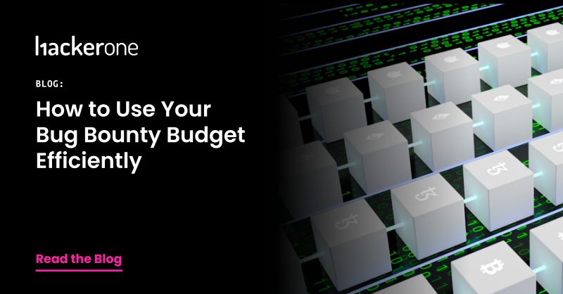 Lucy Castaneda on LinkedIn: Optimizing your bug bounty program is the ... Lucy Castaneda on LinkedIn: Optimizing your bug bounty program is the ...