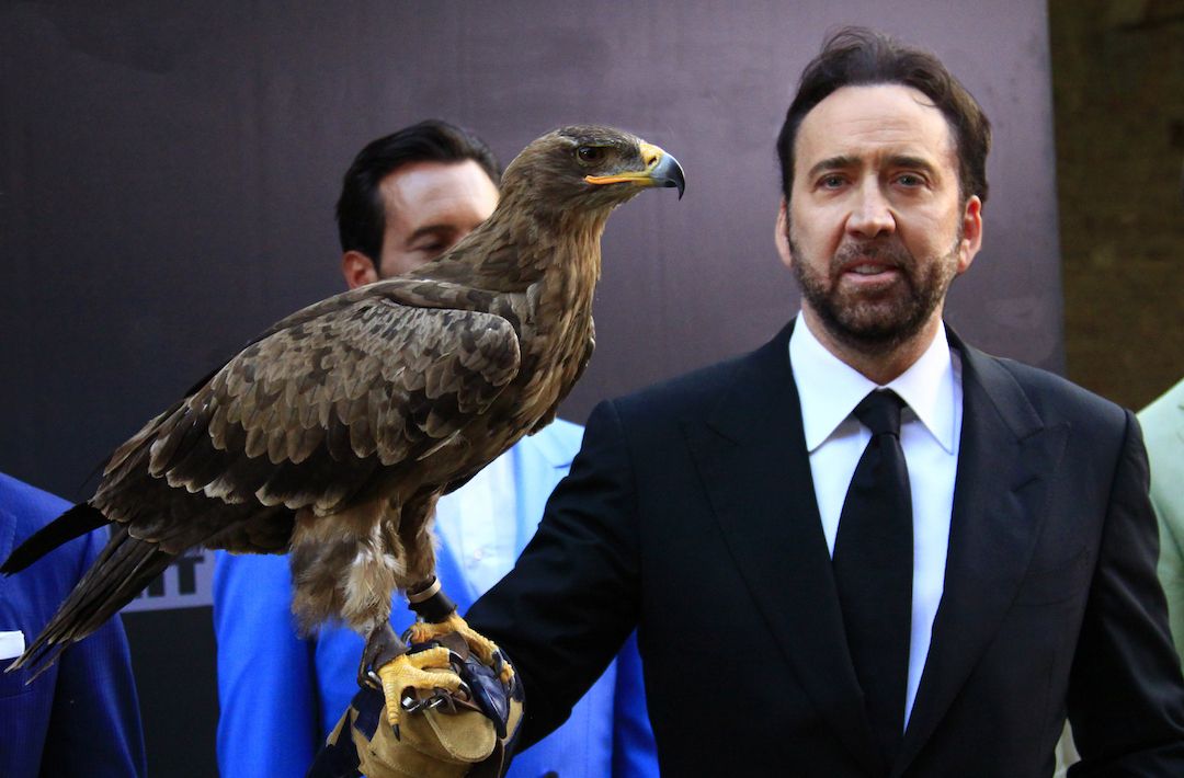 DesignTAXI on LinkedIn: Nicolas Cage is 'terrified' that artificial ... DesignTAXI on LinkedIn: Nicolas Cage is 'terrified' that artificial ...