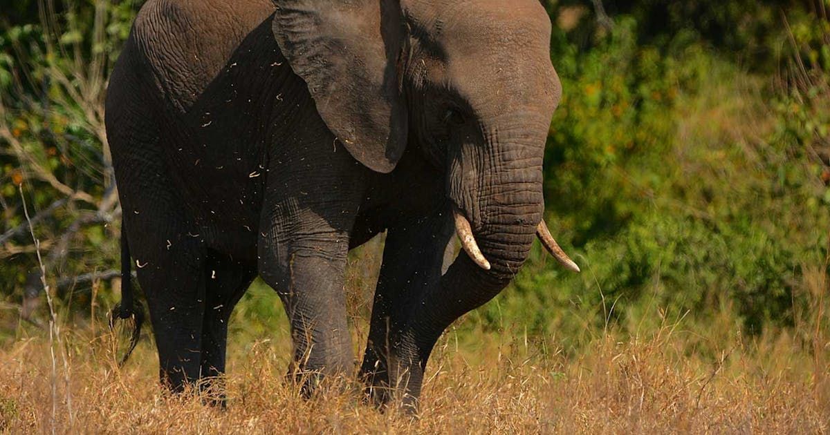 MinervaDB on LinkedIn: Boosting PostgreSQL with Background Workers MinervaDB on LinkedIn: Boosting PostgreSQL with Background Workers
