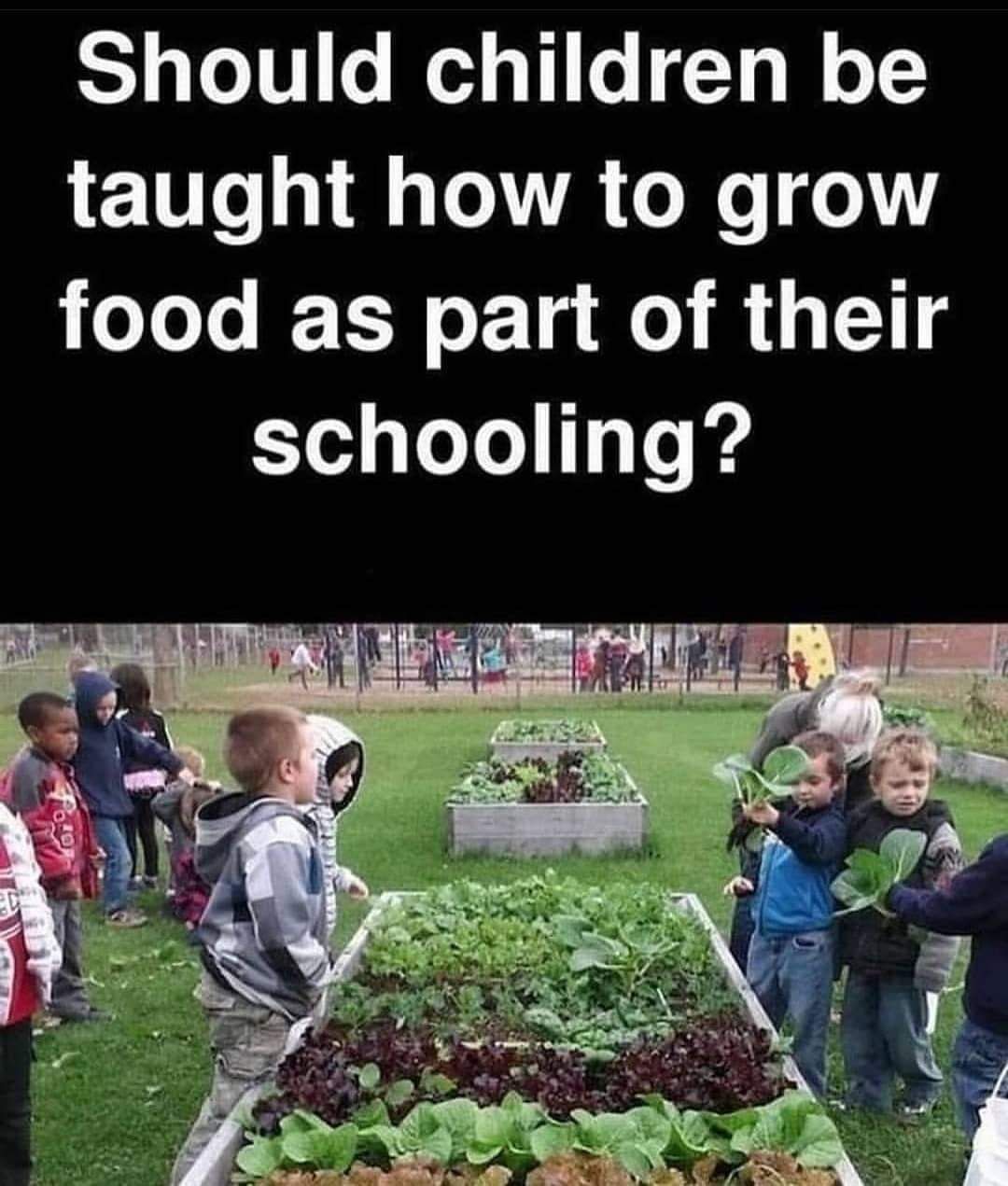 DR FELICIA SMITH on LinkedIn: YES. I grew up learning to garden in our ... DR FELICIA SMITH on LinkedIn: YES. I grew up learning to garden in our ...