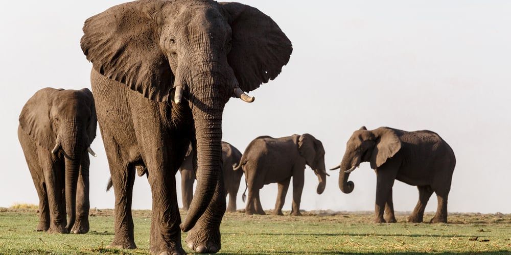 Shiv Iyer on LinkedIn: Tips and Tricks for Tuning PostgreSQL Thread ... Shiv Iyer on LinkedIn: Tips and Tricks for Tuning PostgreSQL Thread ...