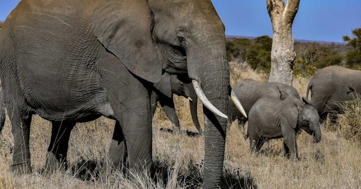 Shiv Iyer on LinkedIn: Cumulative Aggregation in PostgreSQL for Retail Shiv Iyer on LinkedIn: Cumulative Aggregation in PostgreSQL for Retail