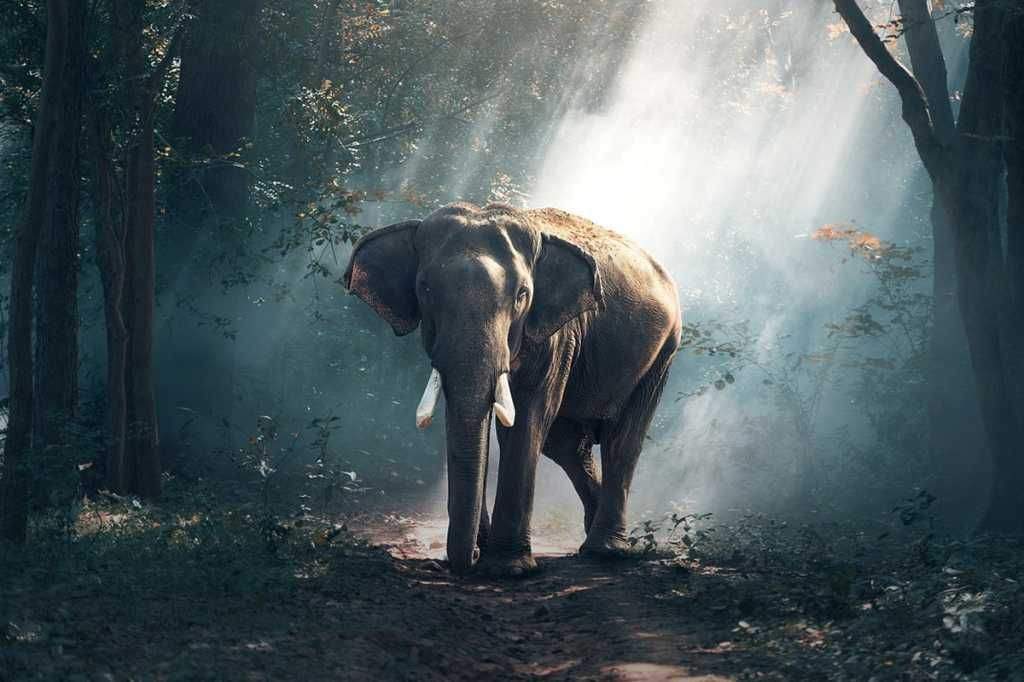 Douglas Hunley on LinkedIn: Using PostgreSQL as a vector database in RAG Douglas Hunley on LinkedIn: Using PostgreSQL as a vector database in RAG