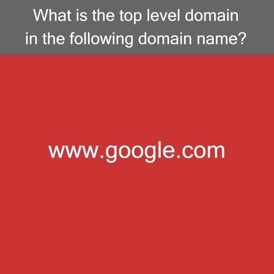 Pirple on LinkedIn: #networking #dev #webdev #pirple #learntocode # ... Pirple on LinkedIn: #networking #dev #webdev #pirple #learntocode # ...