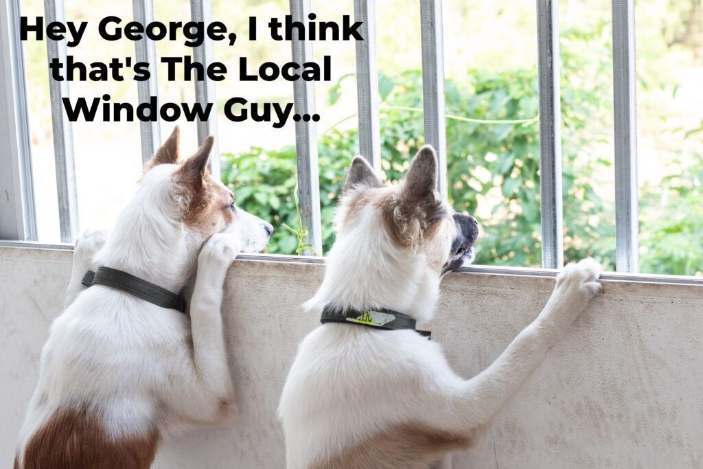 The Local Window Guy on LinkedIn: Sardis Replacement Windows: Upgrade ... The Local Window Guy on LinkedIn: Sardis Replacement Windows: Upgrade ...