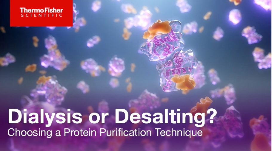 How protein dialysis and desalting affect purification results ... How protein dialysis and desalting affect purification results ...