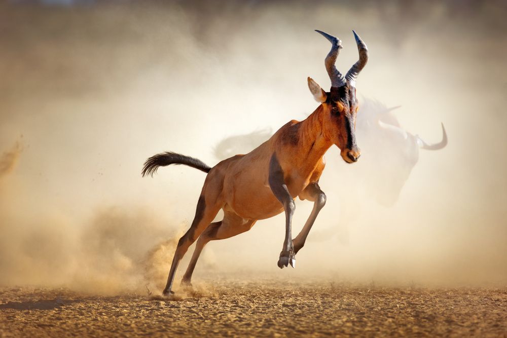 MinervaDB on LinkedIn: Failover and Recovery in InnoDB Cluster and ... MinervaDB on LinkedIn: Failover and Recovery in InnoDB Cluster and ...