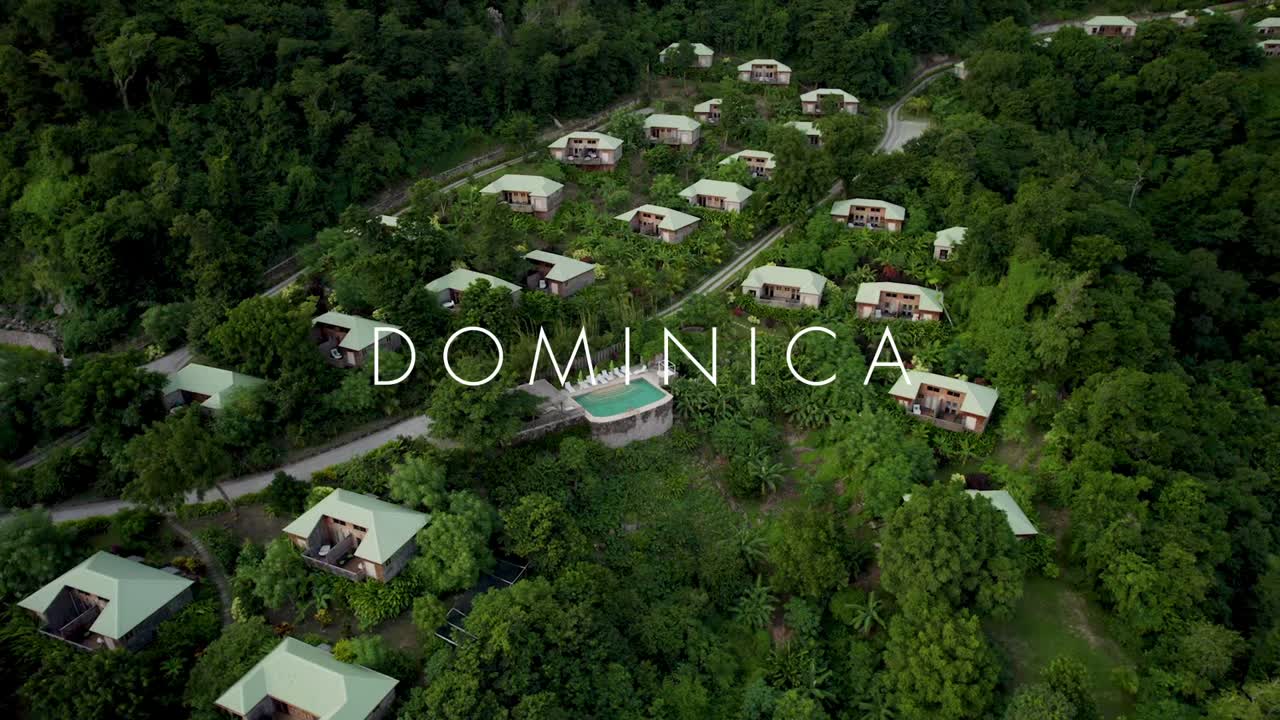Malvin Young on LinkedIn: Facing Waves in Dominica Part 1 Malvin Young on LinkedIn: Facing Waves in Dominica Part 1