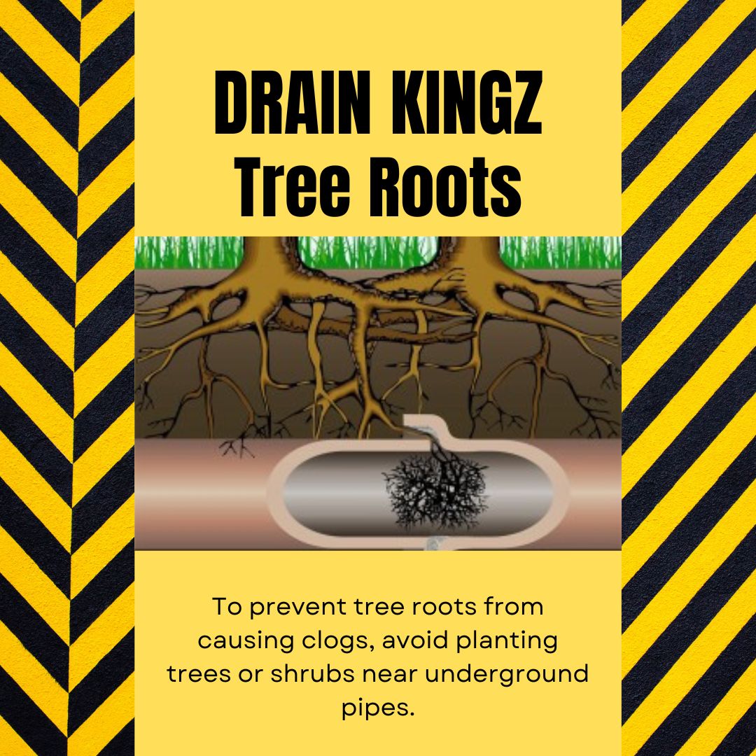 Drain Kingz on LinkedIn: #draincleaning #plumbing #plumber #plumbers # ... Drain Kingz on LinkedIn: #draincleaning #plumbing #plumber #plumbers # ...