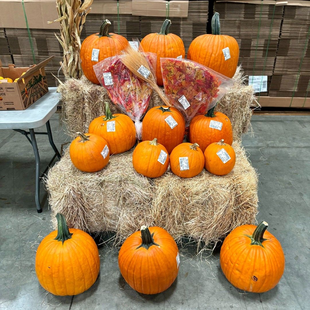 Vesta Foodservice on LinkedIn: #falldecor #pumpkins #wheatstalk # ... Vesta Foodservice on LinkedIn: #falldecor #pumpkins #wheatstalk # ...