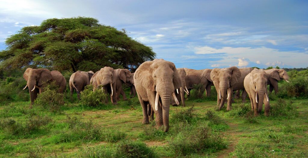 MinervaDB on LinkedIn: Tuning Process Global Area in PostgreSQL ... MinervaDB on LinkedIn: Tuning Process Global Area in PostgreSQL ...