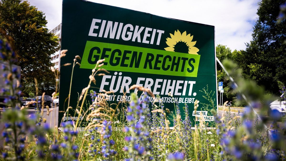 Charbel Tadros on LinkedIn: Green party and Musk join forces against ... Charbel Tadros on LinkedIn: Green party and Musk join forces against ...