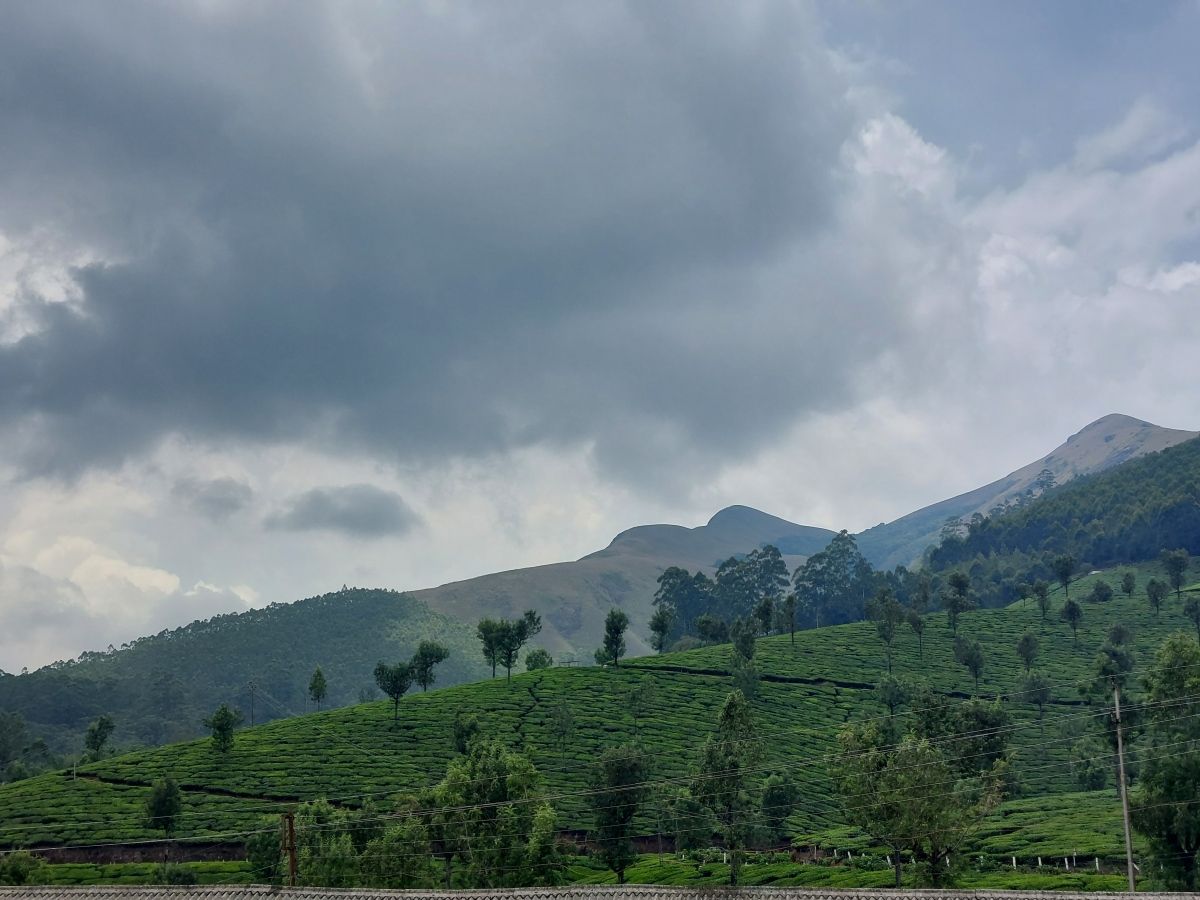 Archita Banerjee on LinkedIn: The Magnificent Munnar Archita Banerjee on LinkedIn: The Magnificent Munnar