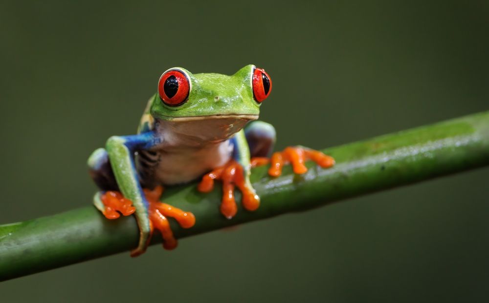 Shiv Iyer on LinkedIn: Monitoring MySQL Group Replication Performance ... Shiv Iyer on LinkedIn: Monitoring MySQL Group Replication Performance ...