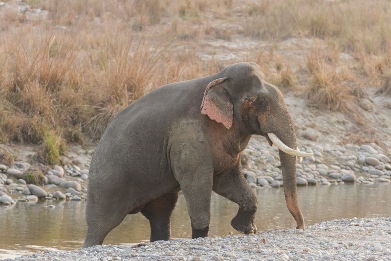 Understanding Checkpointing Implementation in MySQL and PostgreSQL for ... Understanding Checkpointing Implementation in MySQL and PostgreSQL for ...