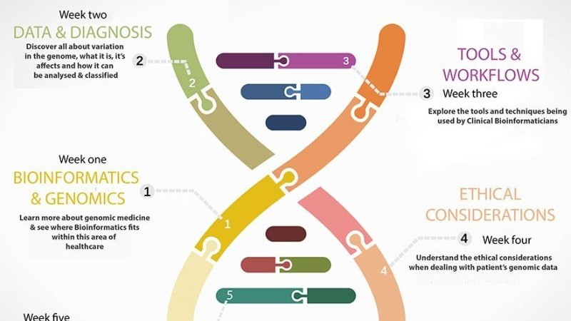 Bioinformatics Market - Forecast(2024 - 2030) Bioinformatics Market - Forecast(2024 - 2030)