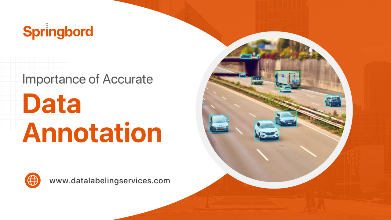 Importance of Accurate Data Annotation Importance of Accurate Data Annotation