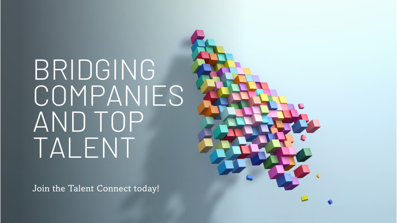 The Talent Connect: Bridging Companies and Top Talent The Talent Connect: Bridging Companies and Top Talent