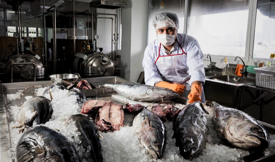 The secret weapon against the rampant fish safety fraud The secret weapon against the rampant fish safety fraud