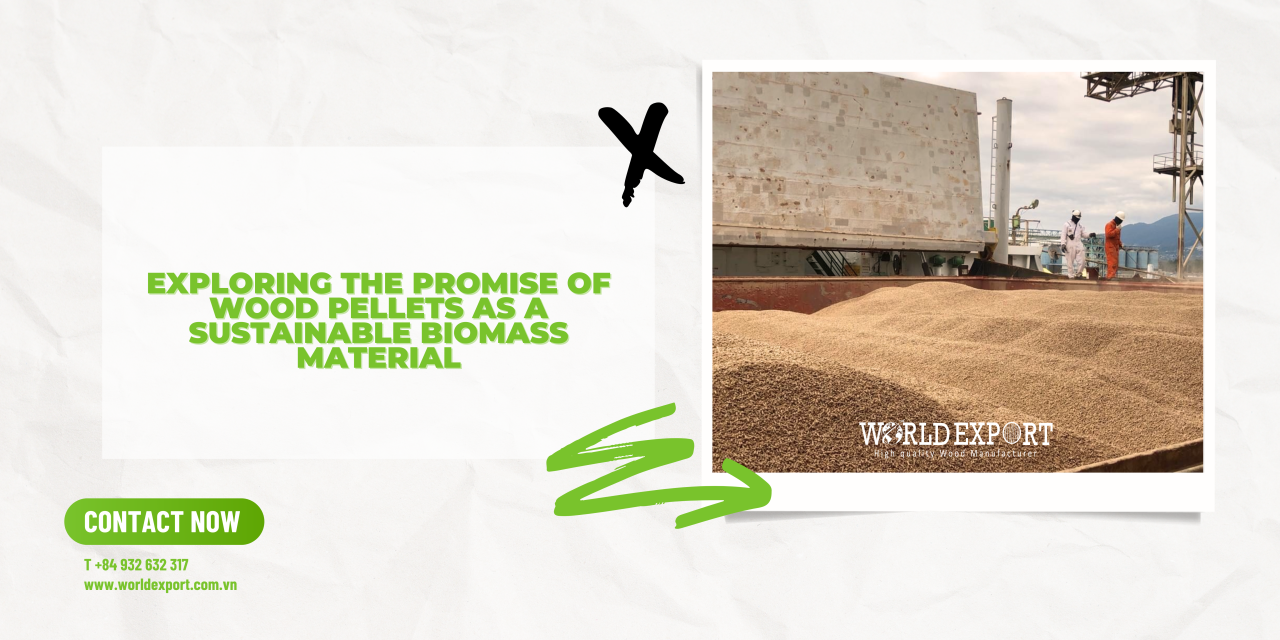 UNLOCKING THE POTENTIAL: THE VERSATILE APPLICATION OF WOOD PELLETS UNLOCKING THE POTENTIAL: THE VERSATILE APPLICATION OF WOOD PELLETS