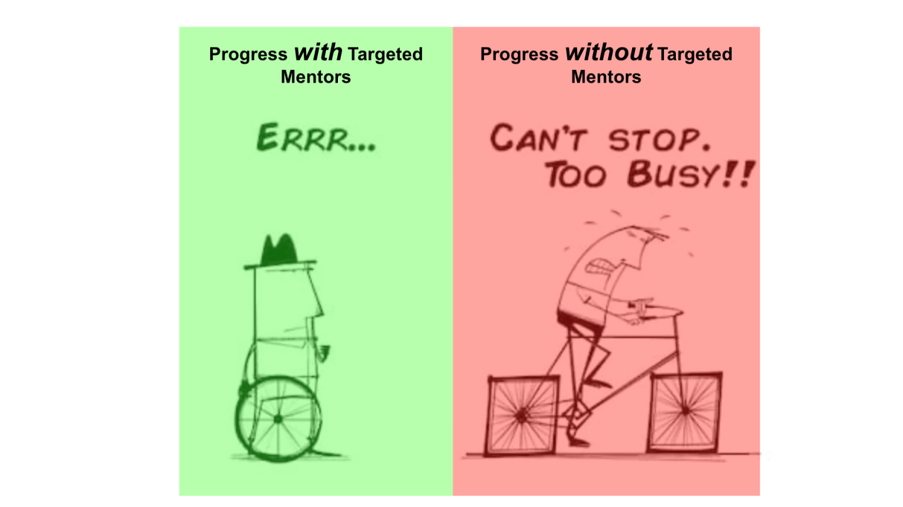 Targeted Mentorship: Accelerate Your Professional Growth Targeted Mentorship: Accelerate Your Professional Growth