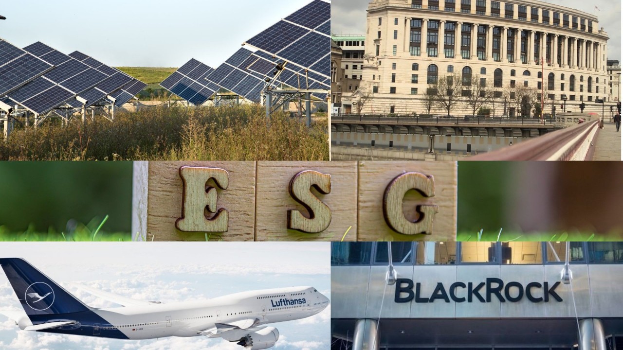 🌍 Navigating the Future of Sustainability & Business 🌍 Navigating the Future of Sustainability & Business