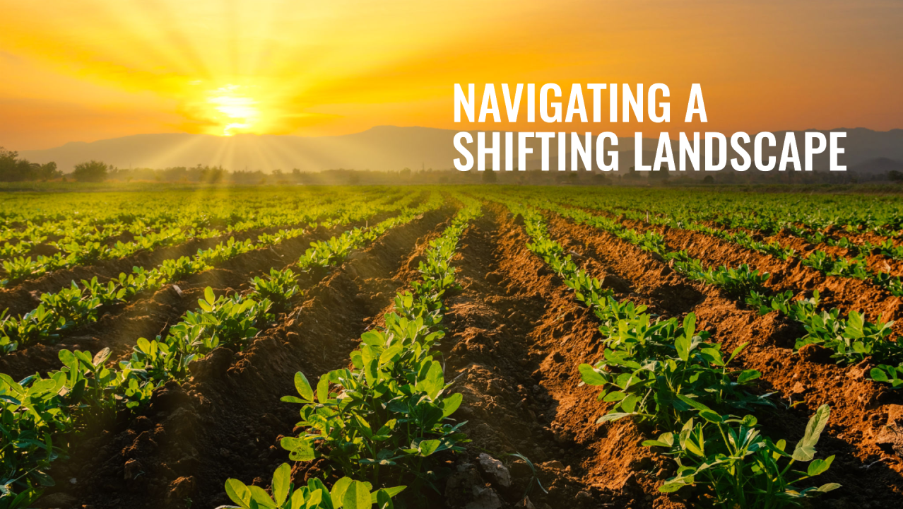 Navigating a Shifting Landscape: Peanuts and the Oil Market Navigating a Shifting Landscape: Peanuts and the Oil Market
