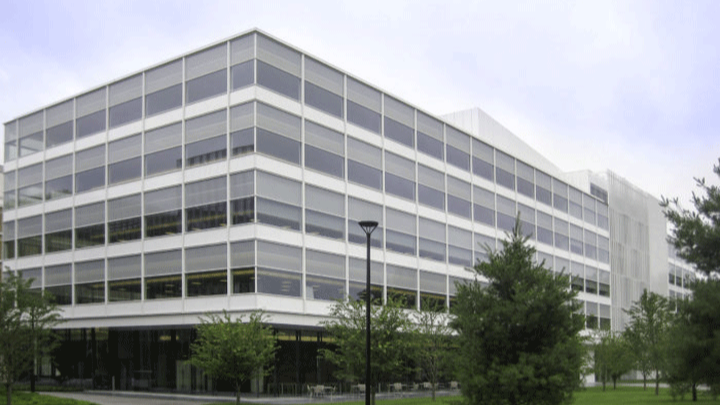 Novartis Announces 427 Layoffs Amid Strategic Restructuring and Patent ... Novartis Announces 427 Layoffs Amid Strategic Restructuring and Patent ...