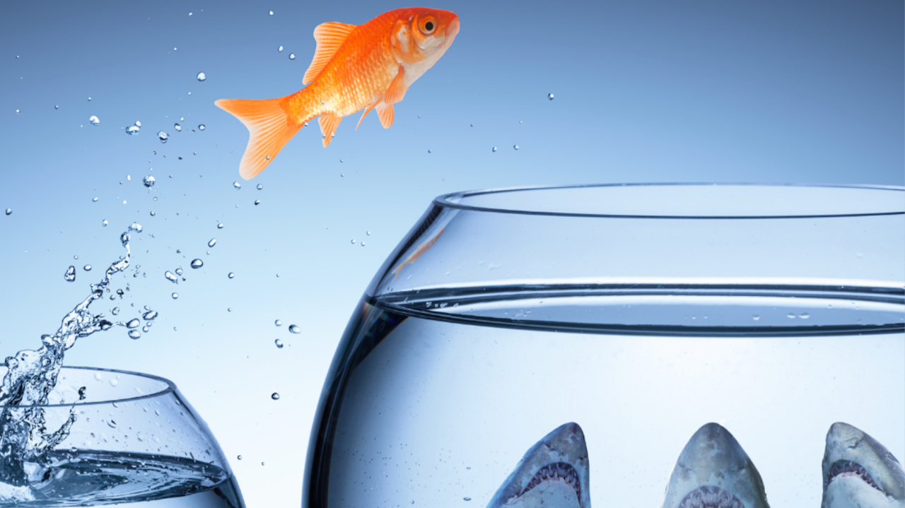 Navigating Commercial Banking Risk Management Navigating Commercial Banking Risk Management