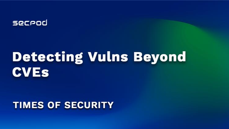 Detecting Vulnerabilities Beyond CVEs Detecting Vulnerabilities Beyond CVEs