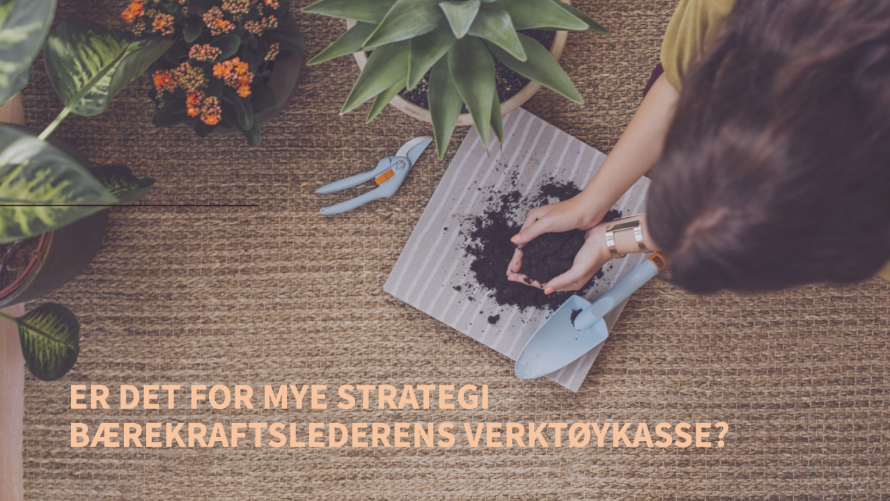 Bærekraftsledelse er mer enn strategi Bærekraftsledelse er mer enn strategi