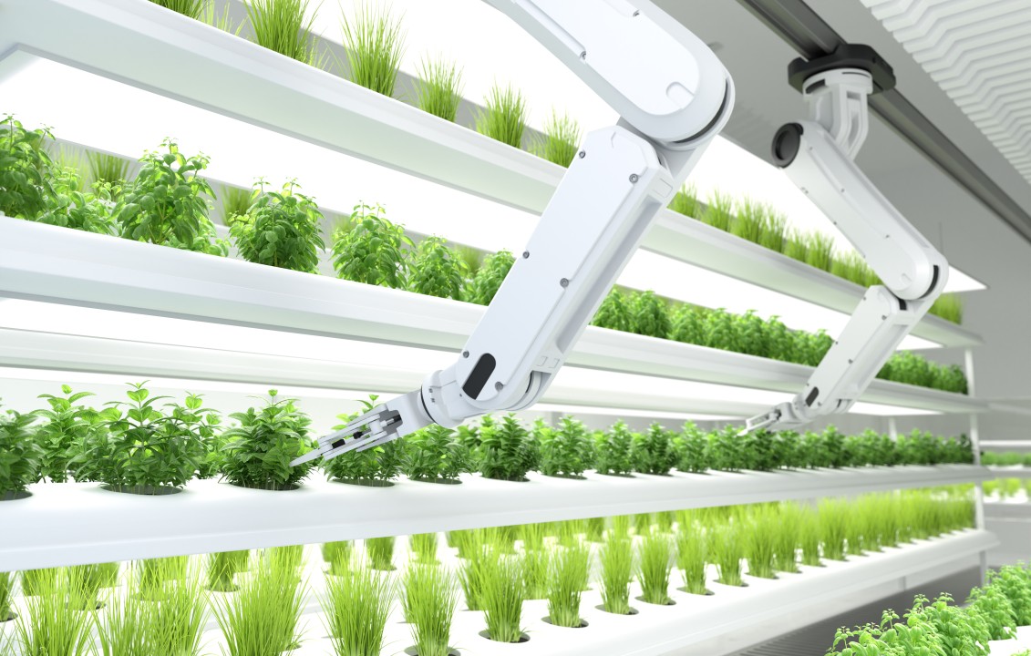 Revolutionizing Agriculture: The Rise of Vertical Farming and Indoor ... Revolutionizing Agriculture: The Rise of Vertical Farming and Indoor ...