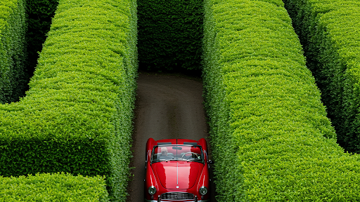 Navigating the Marketing Maze: Your Roadmap to Short-Term & Long-Term ... Navigating the Marketing Maze: Your Roadmap to Short-Term & Long-Term ...