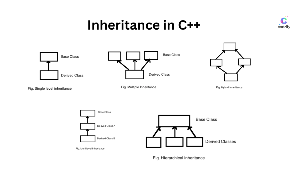 Mastering Inheritance in C++: Types and Examples Explained Mastering Inheritance in C++: Types and Examples Explained