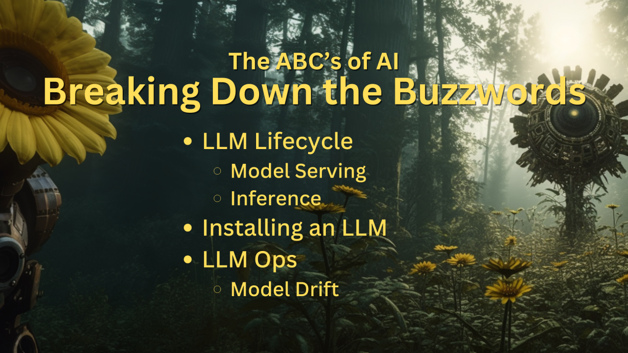 Chapter 3: LLM Lifecycle, Installing an LLM, LLM Ops Chapter 3: LLM Lifecycle, Installing an LLM, LLM Ops