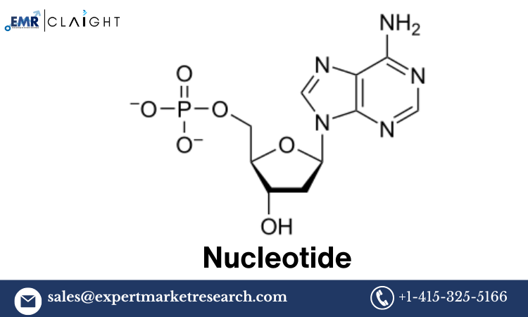 Nucleotide Price Forecast Report: Comprehensive Insights into the ... Nucleotide Price Forecast Report: Comprehensive Insights into the ...