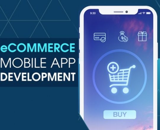 Revolutionize Your Business with Affordable Custom E-commerce Solutions Revolutionize Your Business with Affordable Custom E-commerce Solutions