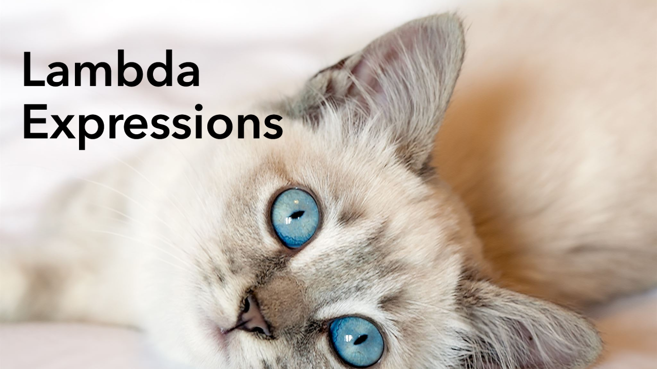 Functional Programming using Lambda Expressions Functional Programming using Lambda Expressions