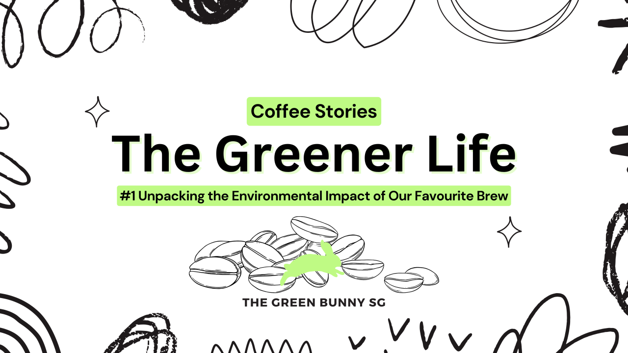 Coffee Stories: Unpacking the Environmental Impact of Our Favourite Brew Coffee Stories: Unpacking the Environmental Impact of Our Favourite Brew