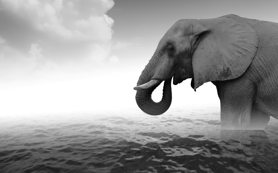 SQL Parser Implementation in PostgreSQL SQL Parser Implementation in PostgreSQL